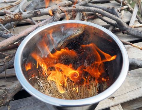 Awkward Botany Amateur Botany For The Phytocurious