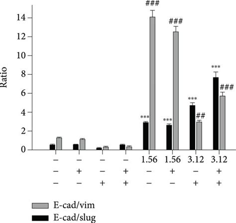 Ptoxdpt Counteracted Emt Induced By Tgf β1 In Hepg2 Cells A Western