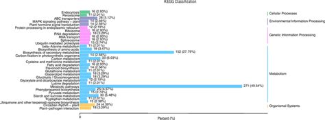 Kegg Pathway Annotation Of Acer Rubrum L Transcripts The Vertical Download Scientific Diagram