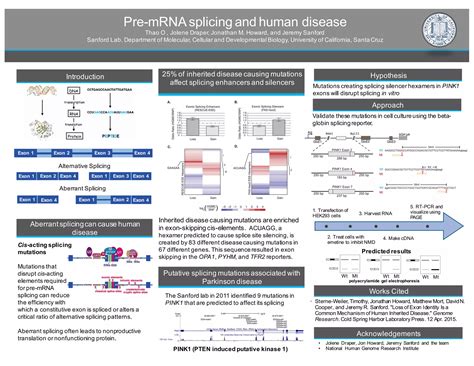 Pre Mrna Splicing And Human Disease Pdf Genetics Science