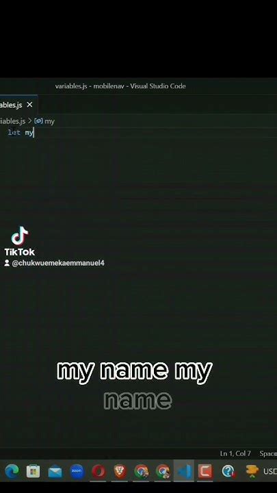 how to declare variables in javascript beginner coding html css