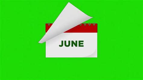 Calendar Days And Months Pack Green Screen 2d Animation Green