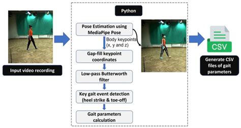 Automated Gait Analysis Based On A Marker Free Pose Estimation Model Pmc