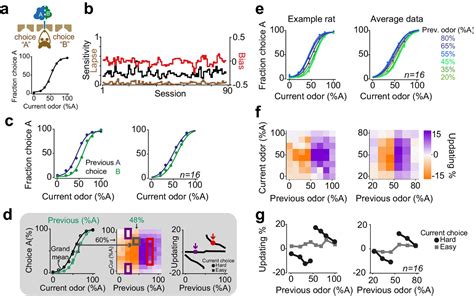 Reinforcement Biases Subsequent Perceptual Decisions When Confidence Is
