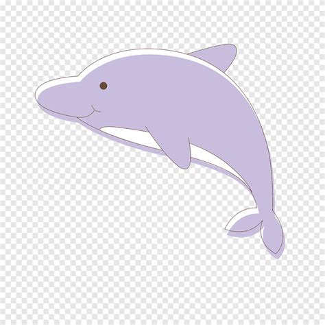 Tucuxi 일반적인 Bottlenose 돌고래 스피너 돌고래 자주색 돌고래 재료 자주색 해양 포유류 Png Pngegg