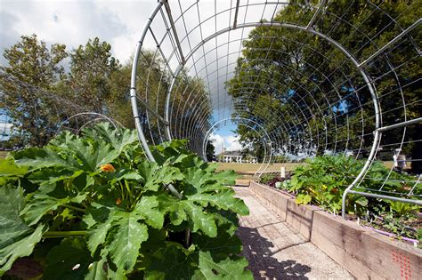 Landscape Design And Management Mississippi State University