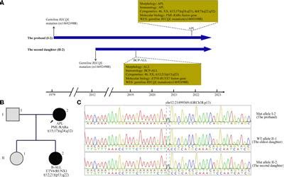Frontiers Case Report Germline RECQL Mutation Potentially Involved In Hereditary