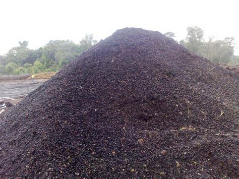 Palm Oil Biomass Bioenergy Consult