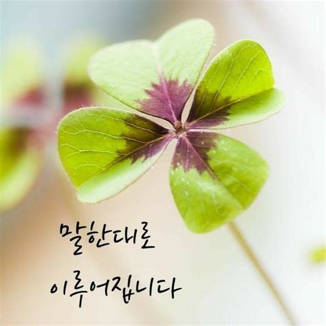 Pin De Beauty Soogi En 여러가지 이야기와 글
