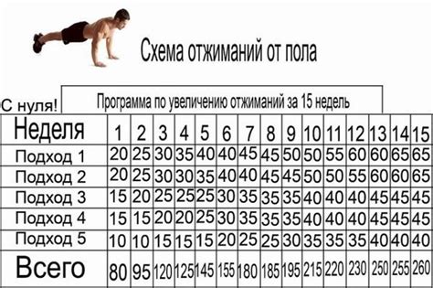 Виды отжимания от пола Програма отжиманий — НаТурнике свобода