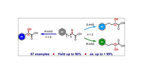 Siteselective and Enantiocomplementary C sp H Oxyfunctionalization for Synthesis of α Hydroxy