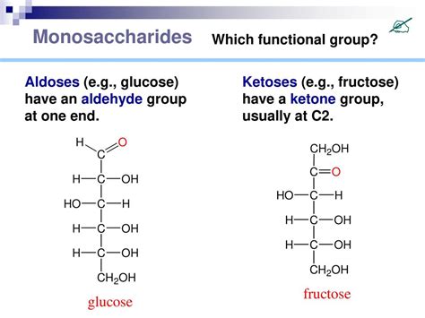 Includes Sugars And Their Polymers Ppt Download