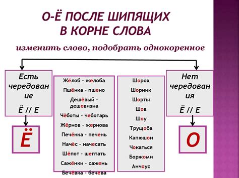 Буквы о ё после шипящих в корнях слов 5 класс презентация онлайн