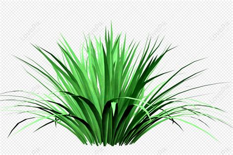 Green Background Ng Damo Larawan Numero Ng Larawan Fo