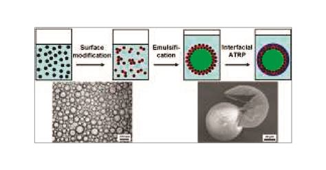 Pickering Emulsion Templated Interfacial Atom Transfer Radical