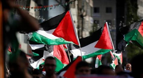 زبارقة لا سلطة قانونية للاحتلال تخوله فرض منع العلم الفلسطيني وكالة