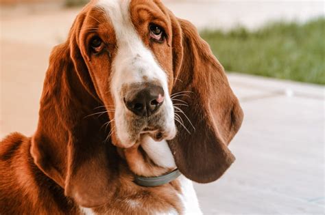 Bestcleavage Photos Download The Best Free Bestcleavage