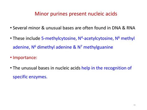 Nucleic Acid Chemistry Pptx