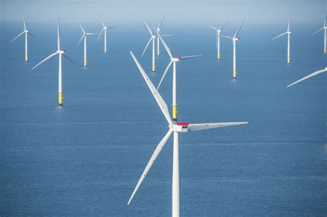 Collaboration Rob Booth