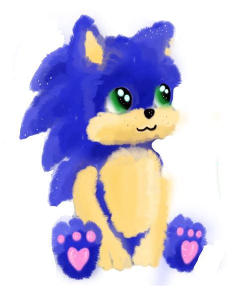 Sonic But Extra Cute And Fluffy By Xxsolarthehedgehogxx On Deviantart