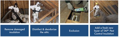 Sterifab — Tap® Pest Control Insulation Tap® Pest Control Insulation