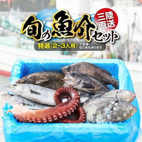 【ふるさと納税】魚 鮮魚 詰め合わせ セット 冷蔵≪特選2~3人用≫海産物 魚介類 三陸 海の 未来志向日本 楽天ブログ