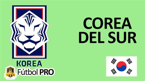 Selección De Corea Del Sur El Ascenso Del Fútbol Surcoreano
