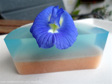 Sweet Home Chefs Butterfly Pea Agar Agar