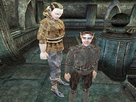 Обиженный лесной эльф The Elder Scrolls Wiki Fandom