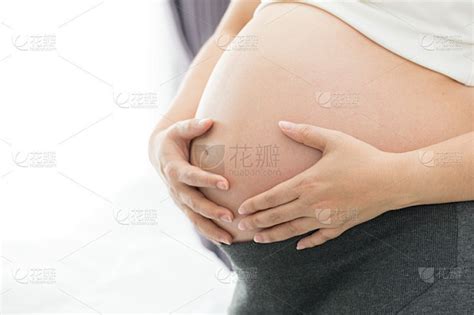 怀孕八个月的妇女的肚子大小