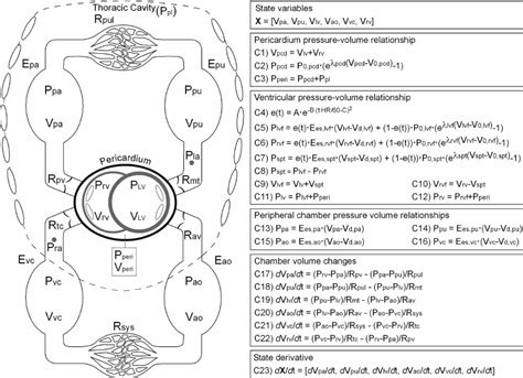 The Minimal Closed Loop Model Of The Cardiovascular System Showing
