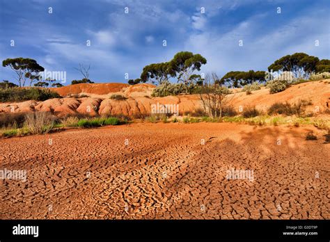 Arid Soil PPT 46 OFF Oceanproperty Co Th