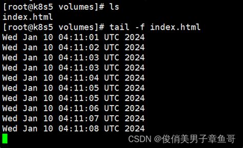 Kubernetes中的存储卷类型、pvpvc管理与数据持久性 Csdn博客