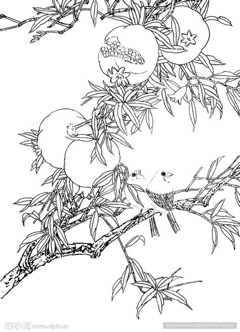 白描花卉设计图绘画书法文化艺术设计图库昵图网