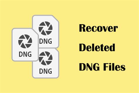 How To Recover Deleted DNG Files Windows Mac