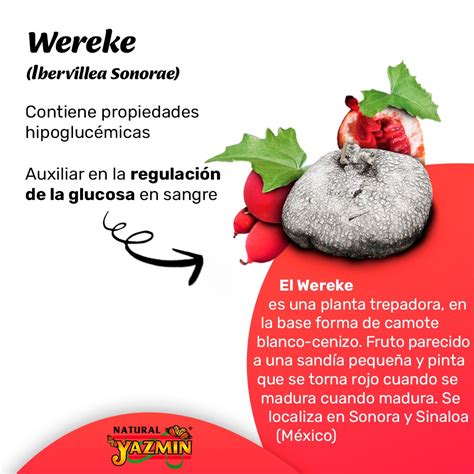 Wereke 150 Cápsulas De 400mg Natural Yazmin®