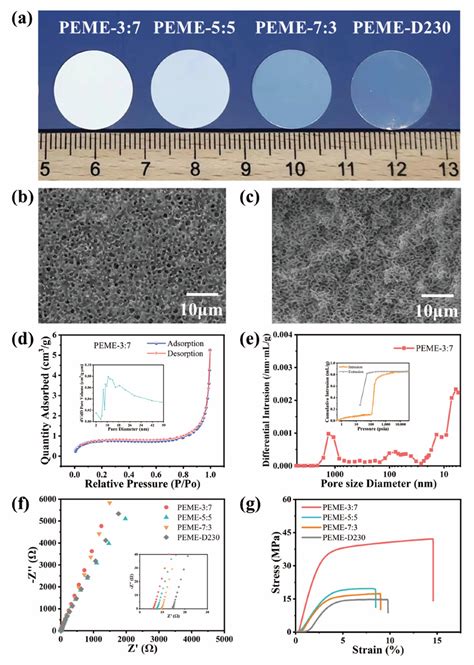 A Digital Photos Of Peme X Membranes The B Surface And C