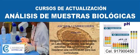 Bacteriología Médica Bacteriología Médica Diagnóstica
