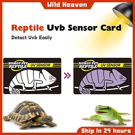 Reptile Uvb Sensor Card Uv Tester Indicator Basking Lamp Test Turtle Tortoise Accessories