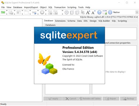 数据库可视化管理工具 SQLite Expert Pro v 特别版 永恒心锁 分享互联网
