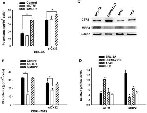 Gjic Mediated Cisplatin Transfer Was Related To Ctr1 And Mrp2 Ab