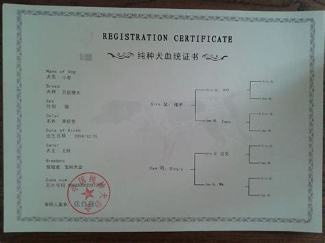 900032002397292 CKA官方网站 纯种犬协会