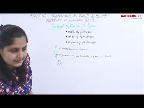 root system mcq practice questions and answers
