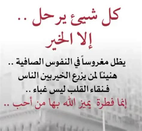 Prof Dr Mostafa Tag Posted On Linkedin