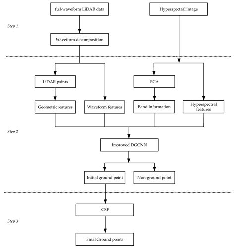 High Accuracy Filtering Of Forest Scenes Based On Full Waveform Lidar Data And Hyperspectral Images