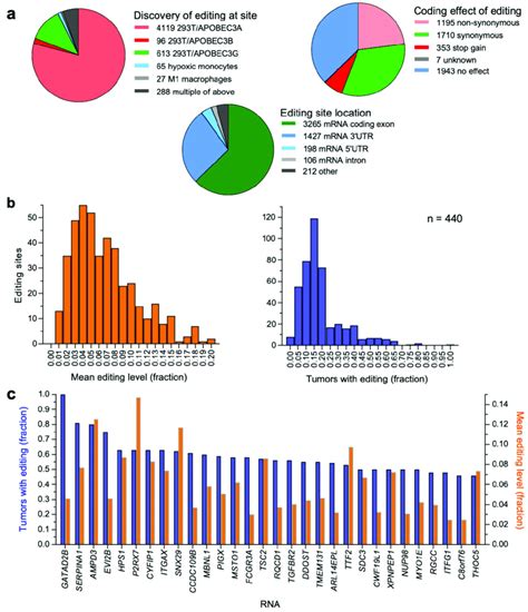 Apobec3 Mediated Rna Editing Sites A Characteristics Of The Sites