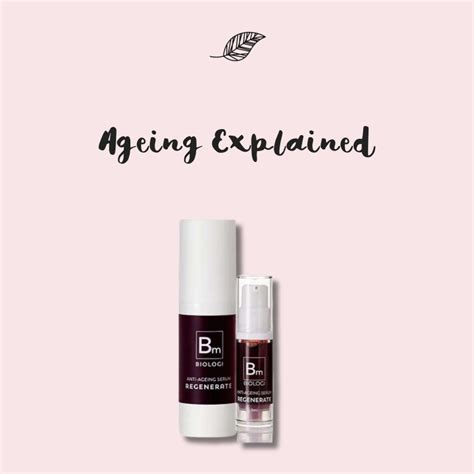 Ageing Explained What Are The Causes Of External Ageing Natural Supply Co