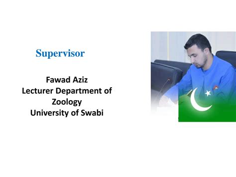 Solution Presentation Of Bs Thesis Defence Studypool