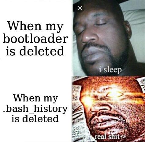 the bash history is sacred r linuxmemes