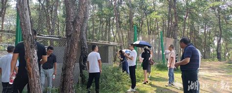 【阅·广水】骆店镇：群策群力招引能人回乡 助力乡村振兴 湖北日报新闻客户端
